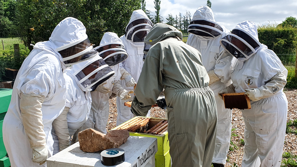 The Bee Keeping Experience | Naturebreak