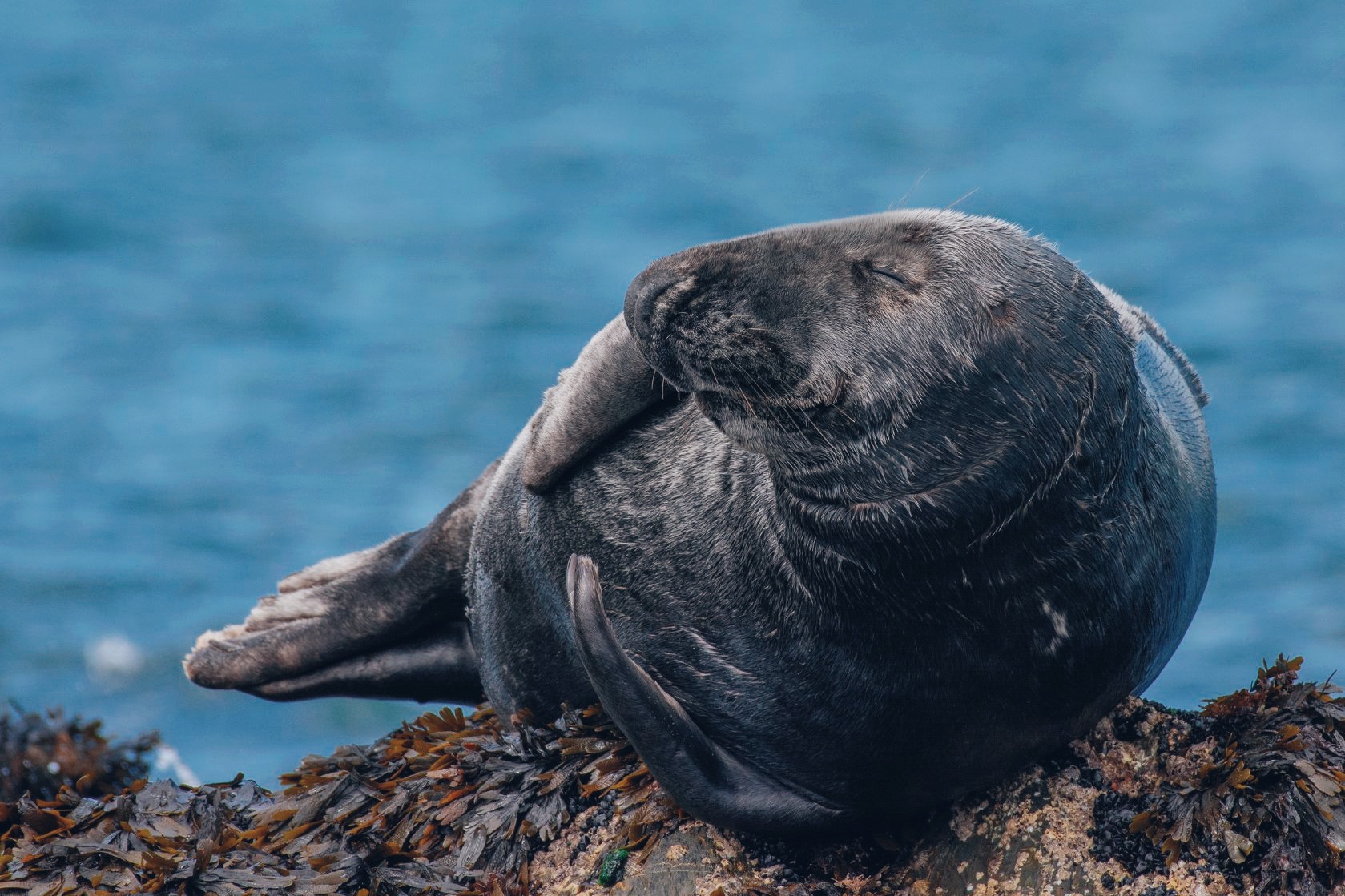 Naturebreak Experiences that get you closer to nature