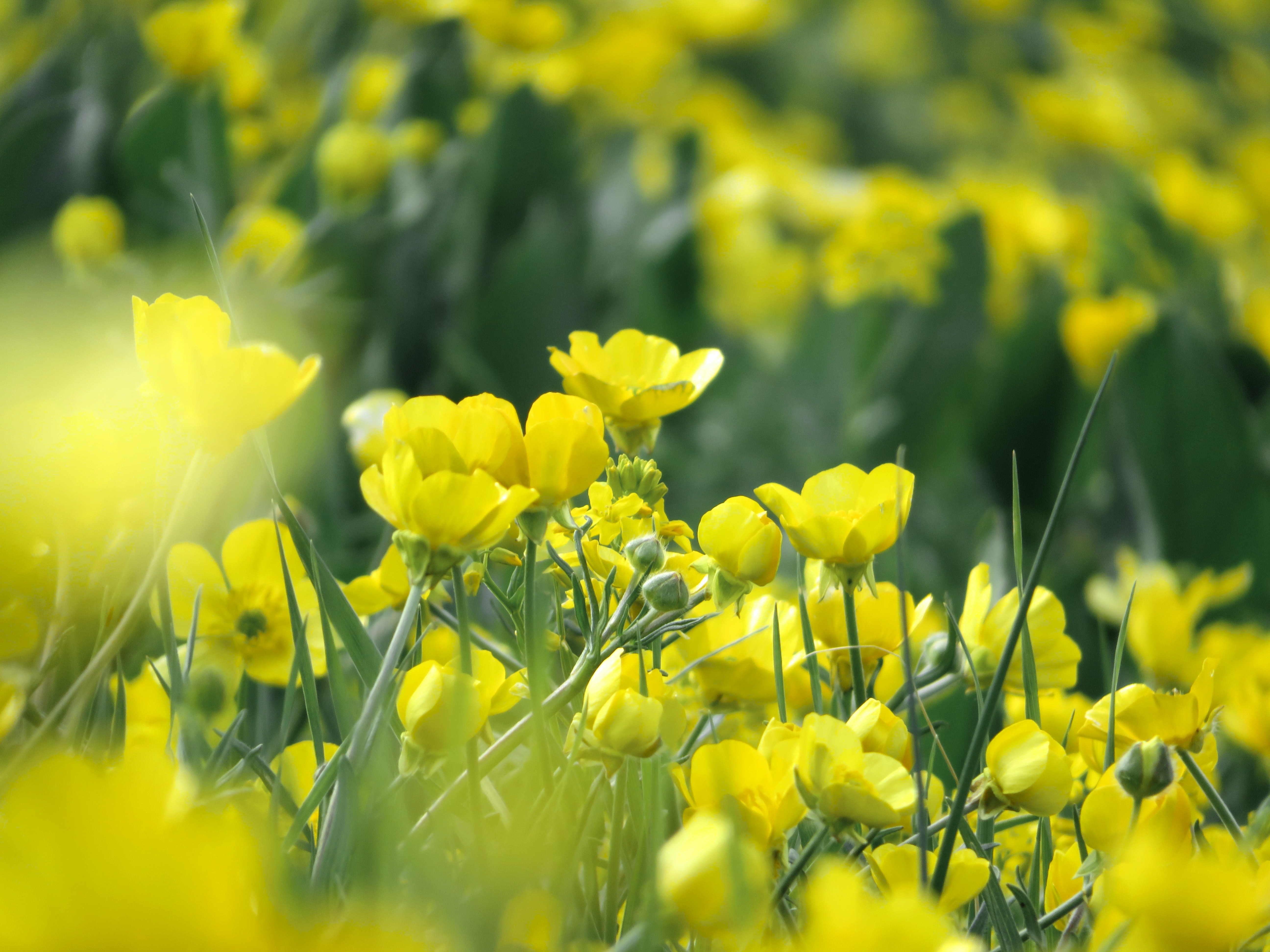 Naturebreak Experiences that get you closer to nature