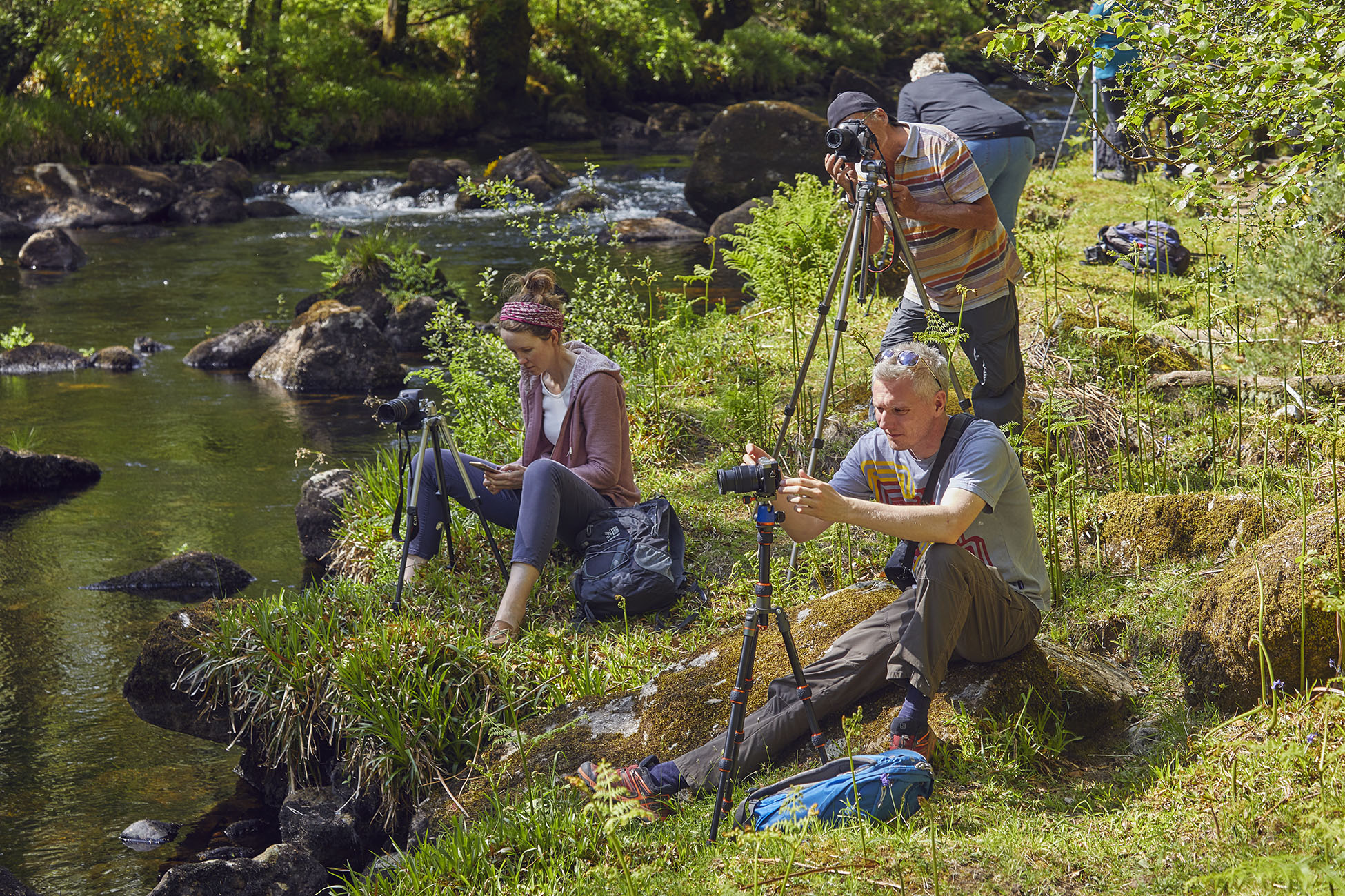 Dartmoor Nature Photography Experience | Naturebreak