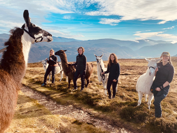 Trekking with Llamas in the Lake District | Naturebreak